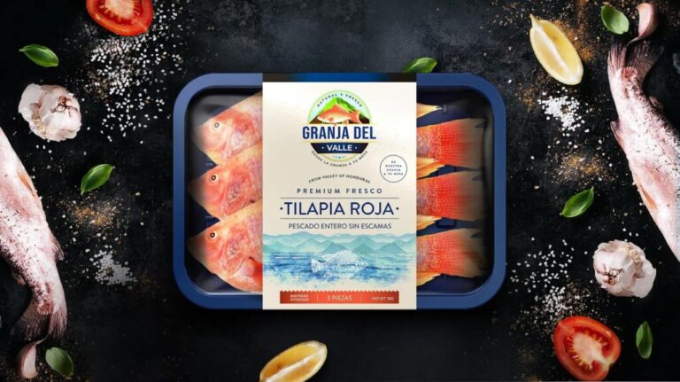 Fish Labeling – Understanding the Essentials